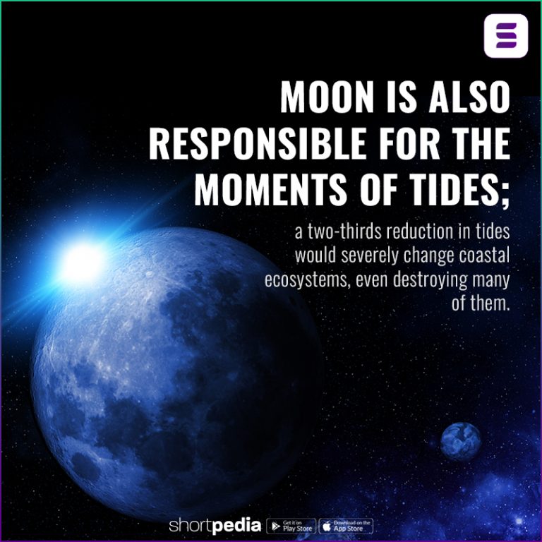 What Will Happen If The Moon Suddenly Disappeared?