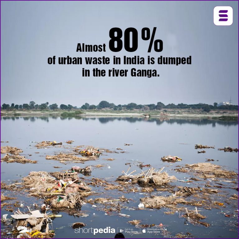 Are You Aware Of These Serious Environmental Issues?